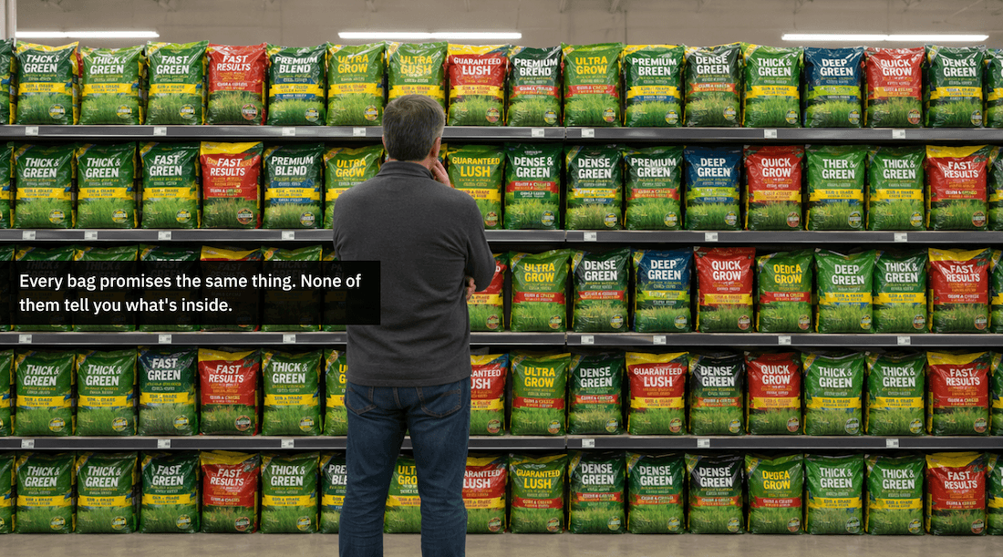 Best Grass Seed for Canada: The Complete Selection Guide (2026 ...