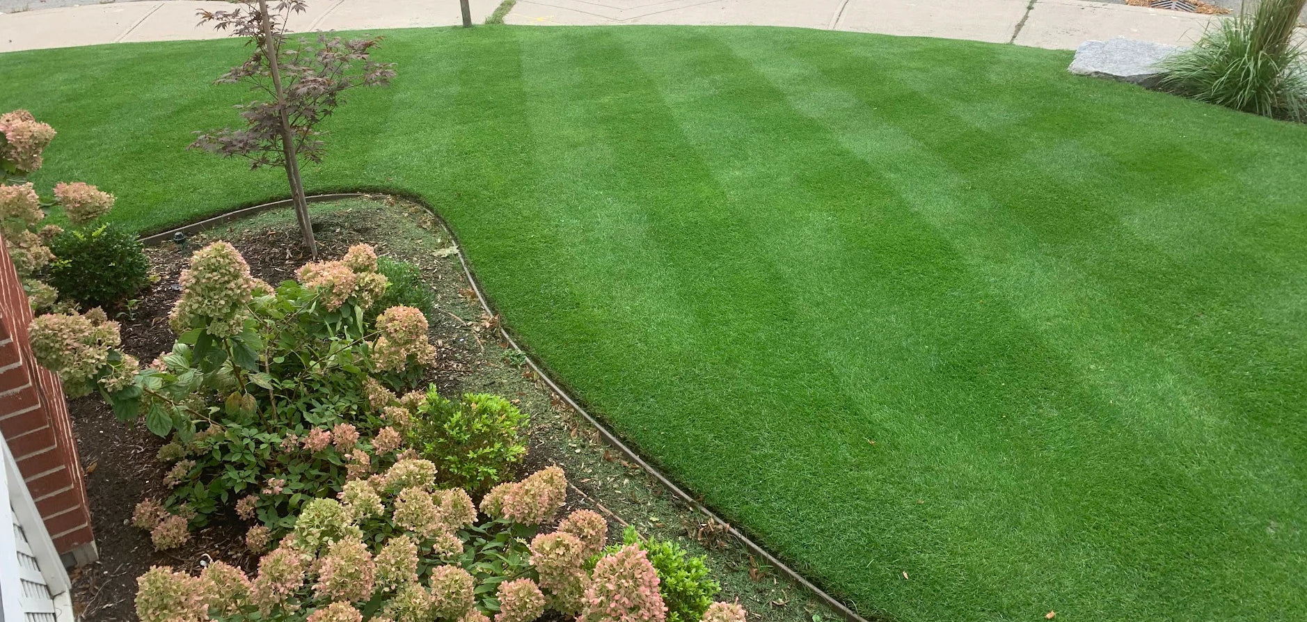 Small Lawns and Spot Seeding – Striped Seed Co.