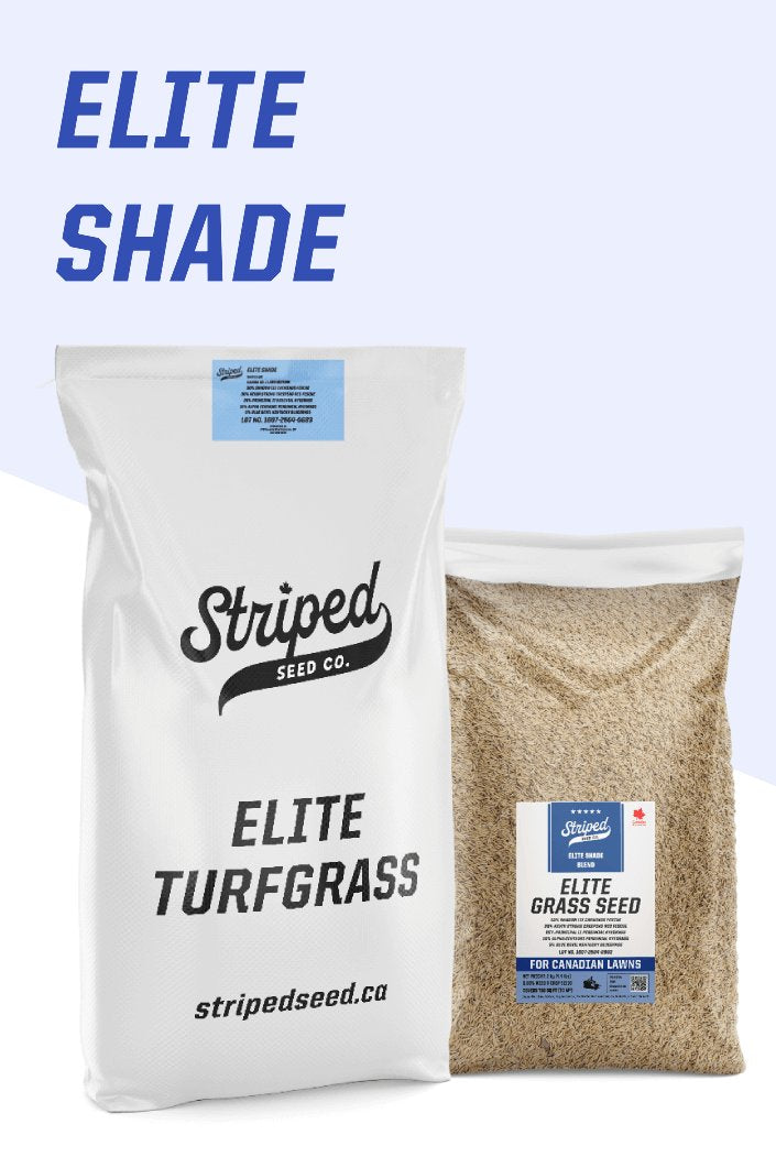 Elite Shade Premium Grass Seed – Striped Seed Co.