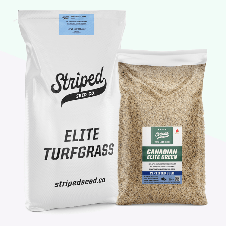 Elite Grass Seed for Canadian Lawns | Striped Seed Co.
