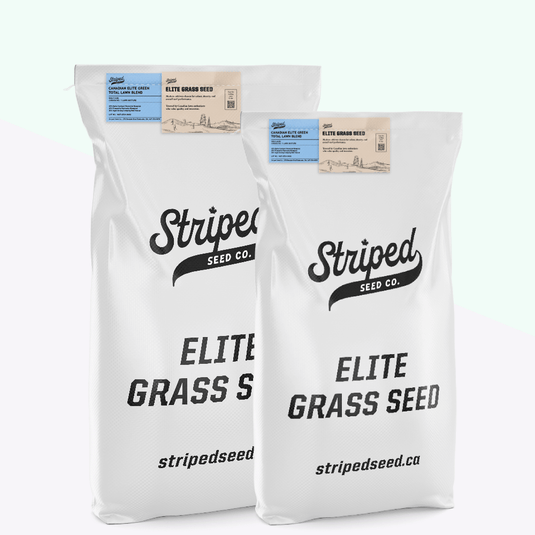 Elite Grass Seed for Canadian Lawns | Striped Seed Co.