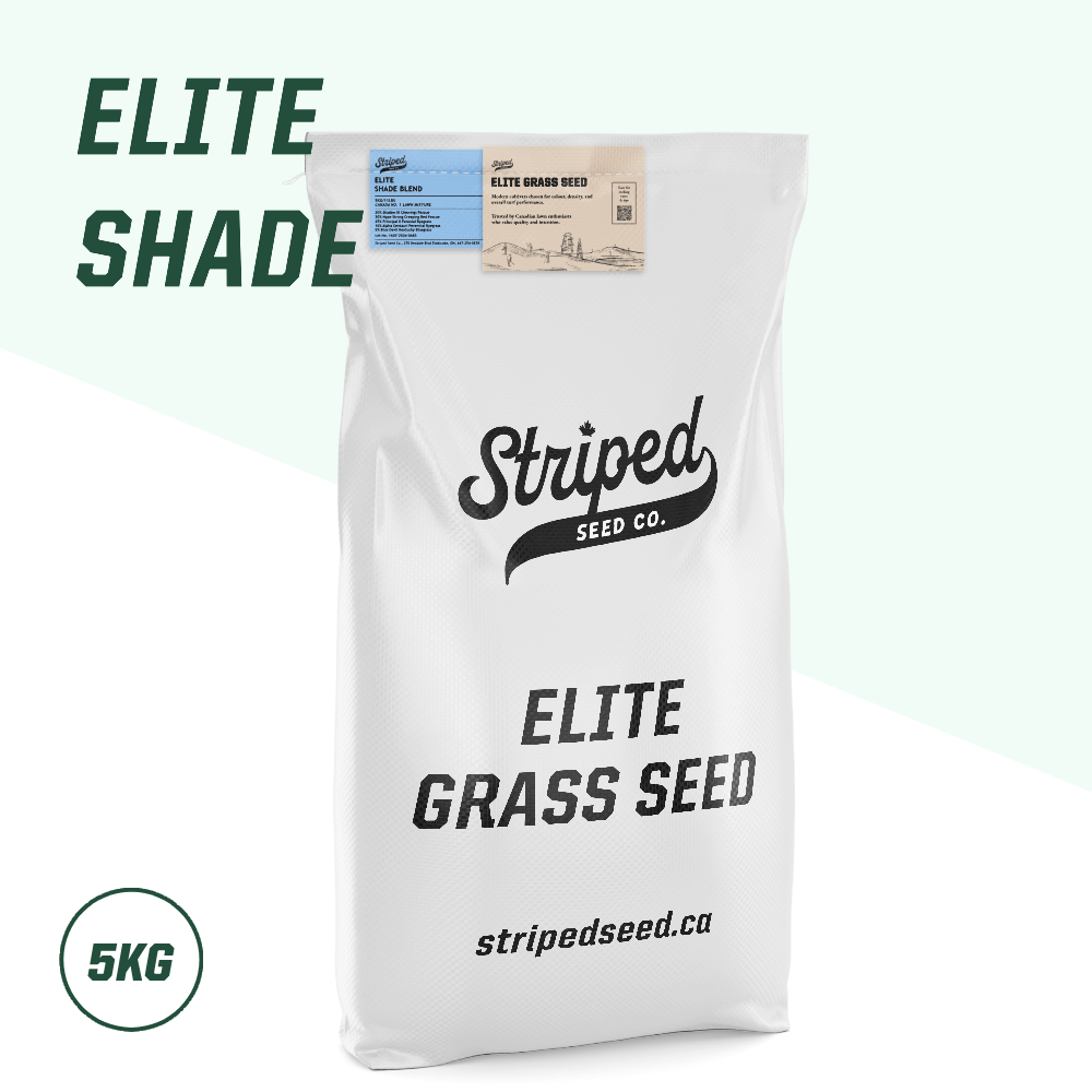 Elite Shade Premium Grass Seed Blend 5kg – Striped Seed Co.
